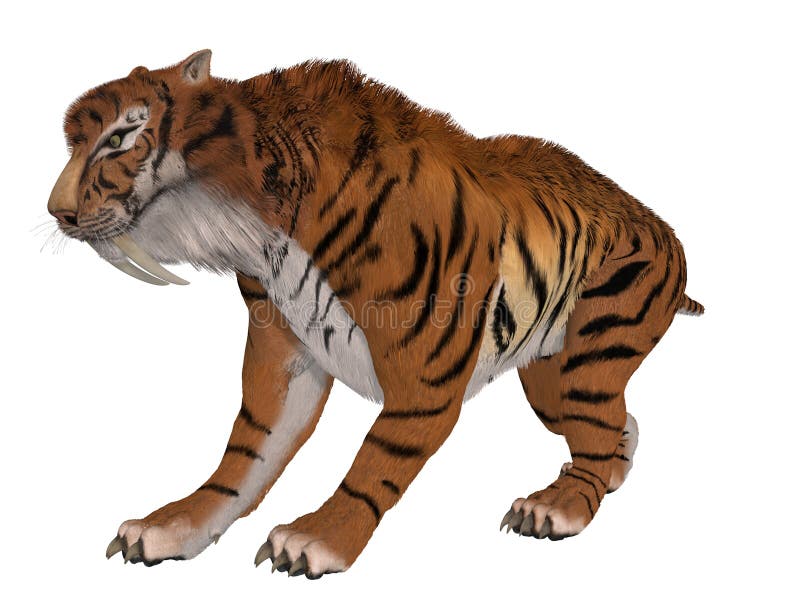3d Illustration of a Saber Tooth Tiger Stock Illustration ...