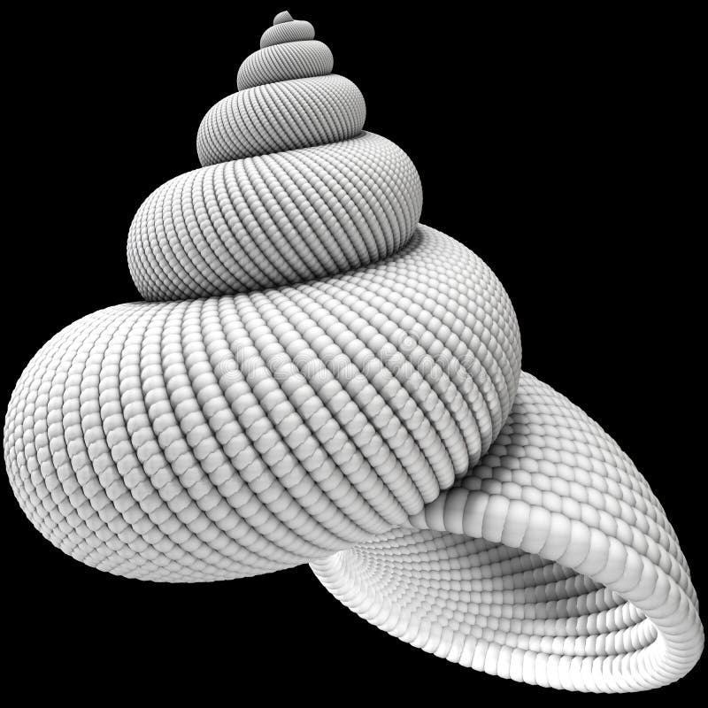 3d Illustration Of Sea Shell Object Stock Illustration Illustration Of Chambered Object 70455445
