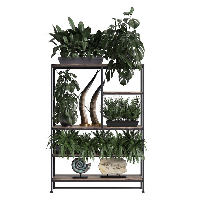 Shelf with Plant in a Pot Vector Flat Isolated Vector Style ...