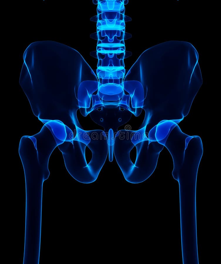 3D Illustration of Shiny Blue Skeleton System. Stock Illustration ...