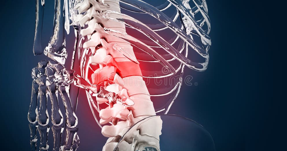 3D Illustration Showing Back Pain. 3D Illustration Stock Illustration ...