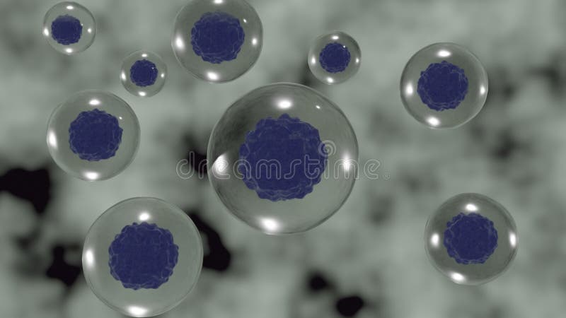Cells with Round Nucleus in 3d Illustration Stock Illustration ...