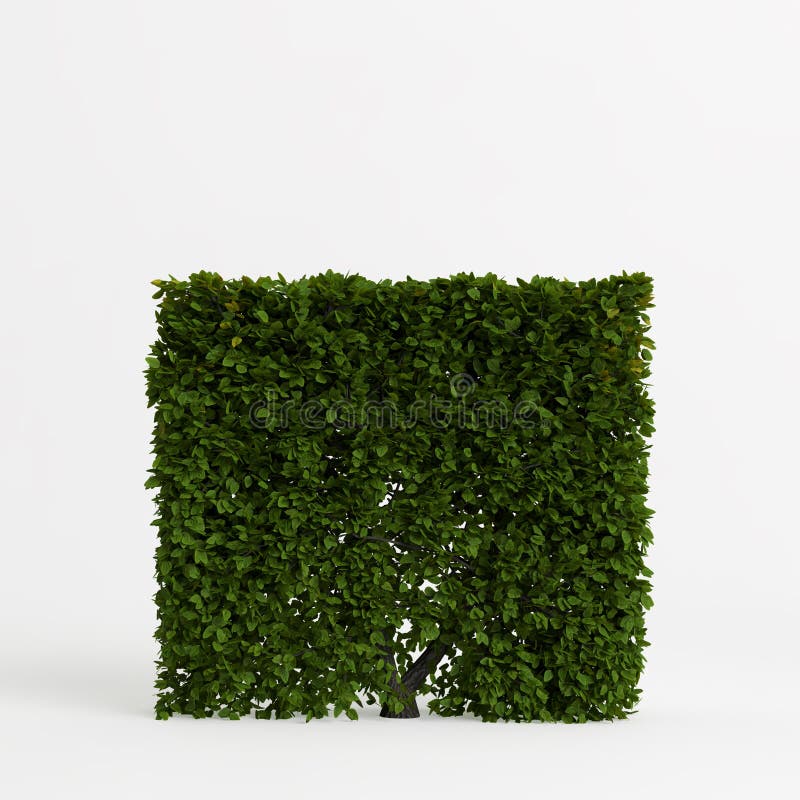 Hedge Top View Stock Illustrations – 77 Hedge Top View Stock ...