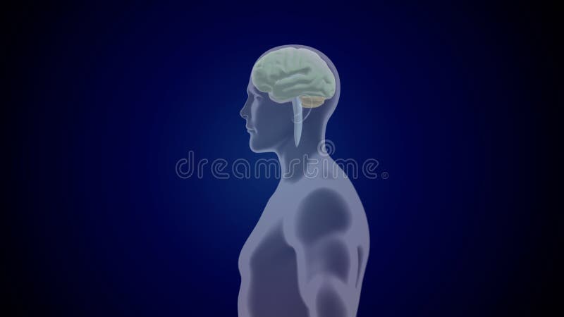 3d Illustration of Side View of Human Head with Brain Hologram. Stock ...