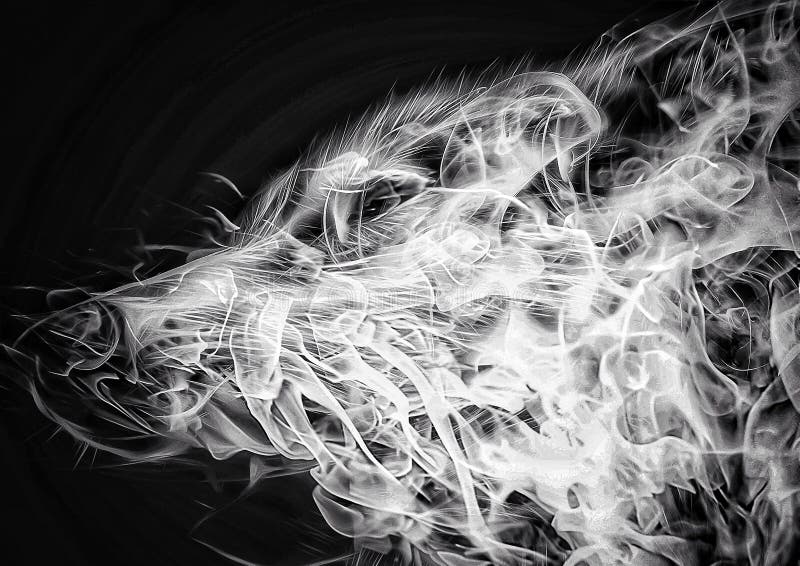 3d Illustration of Smoke Swirling in the Shape of a Wolf Stock ...