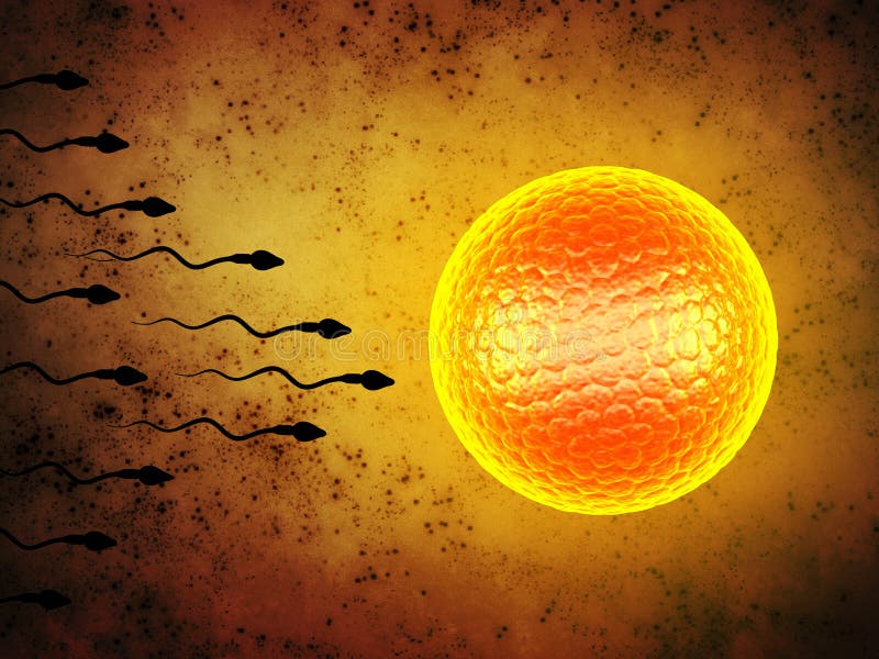 3D Illustration Sperm Approaching Egg Cell. Stock Illustration ... 3D Illustration Sperm Approaching Egg Cell. Stock Illustration ...