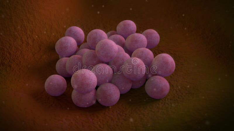 Staphylococcus Aureus Cell Structure And Pathogenic Factors Stock ... Staphylococcus Aureus Cell Structure And Pathogenic Factors Stock ...