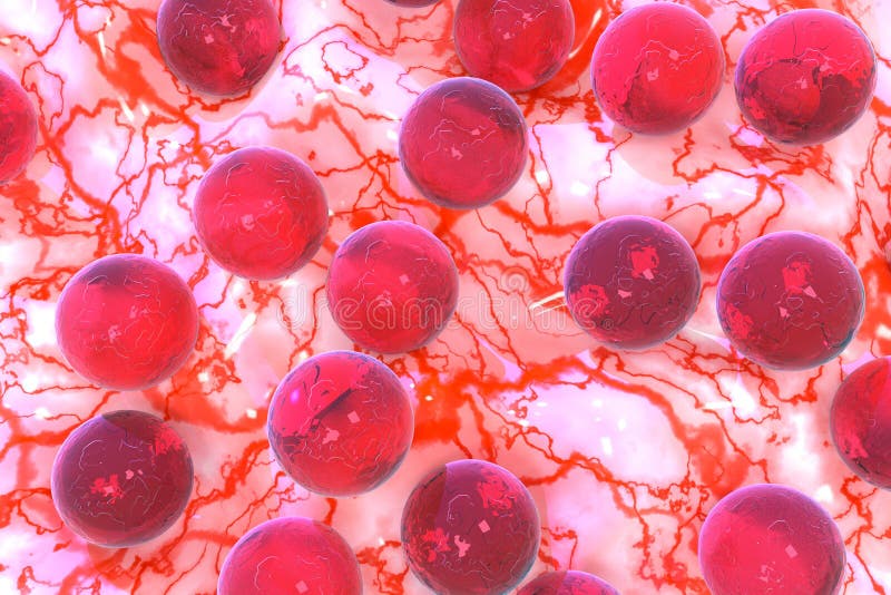 Staphylococcus Aureus 3D Illustration Stock Illustration - Illustration ...