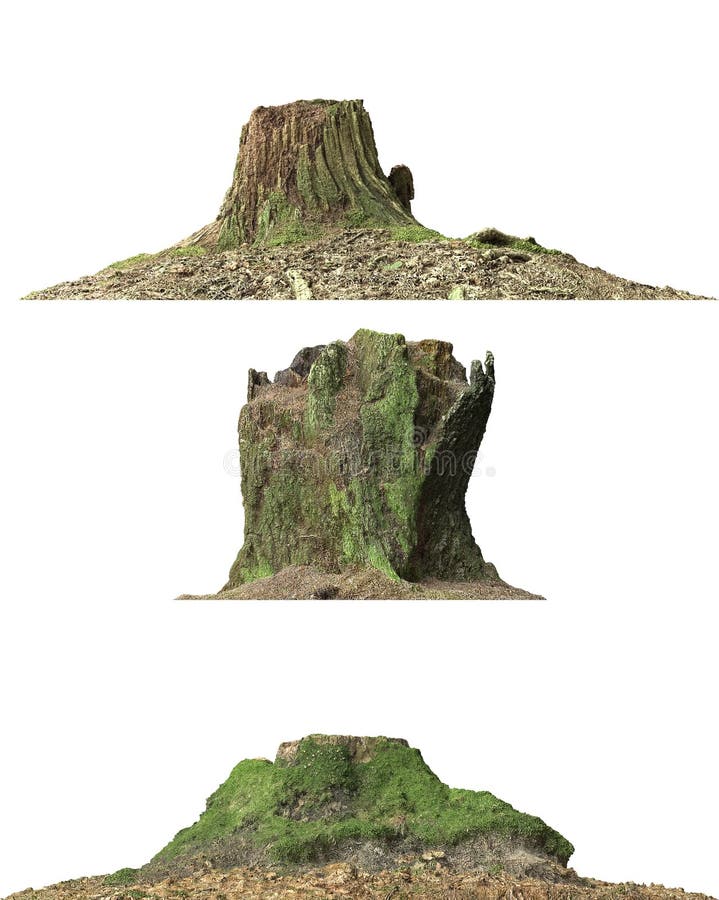 Stump Dead Tree Isolated on White 3d Illustration Stock Illustration ...