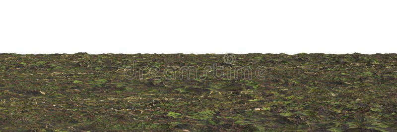3d Illustration of Surface Texture Covered with Flora, Floral Material ...