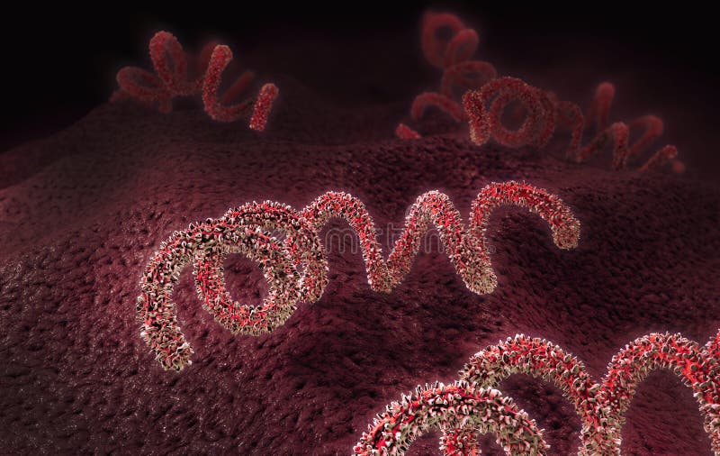 3d Illustration of a Red Clolored Syphilis Pathogen Stock Photo - Image ...