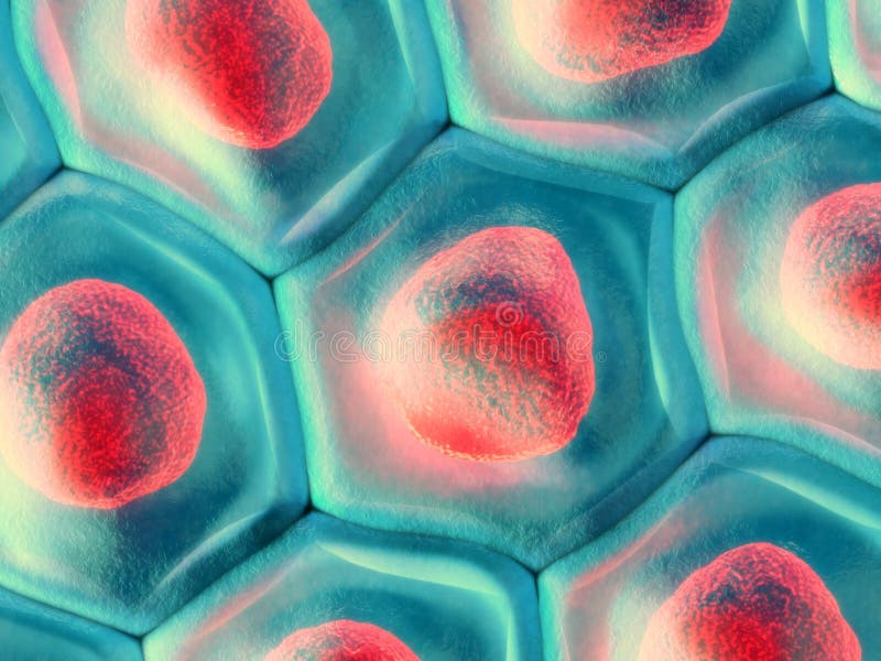 3d Illustration of a Top View on Blue Cell Pattern with Red Cell Stock ...