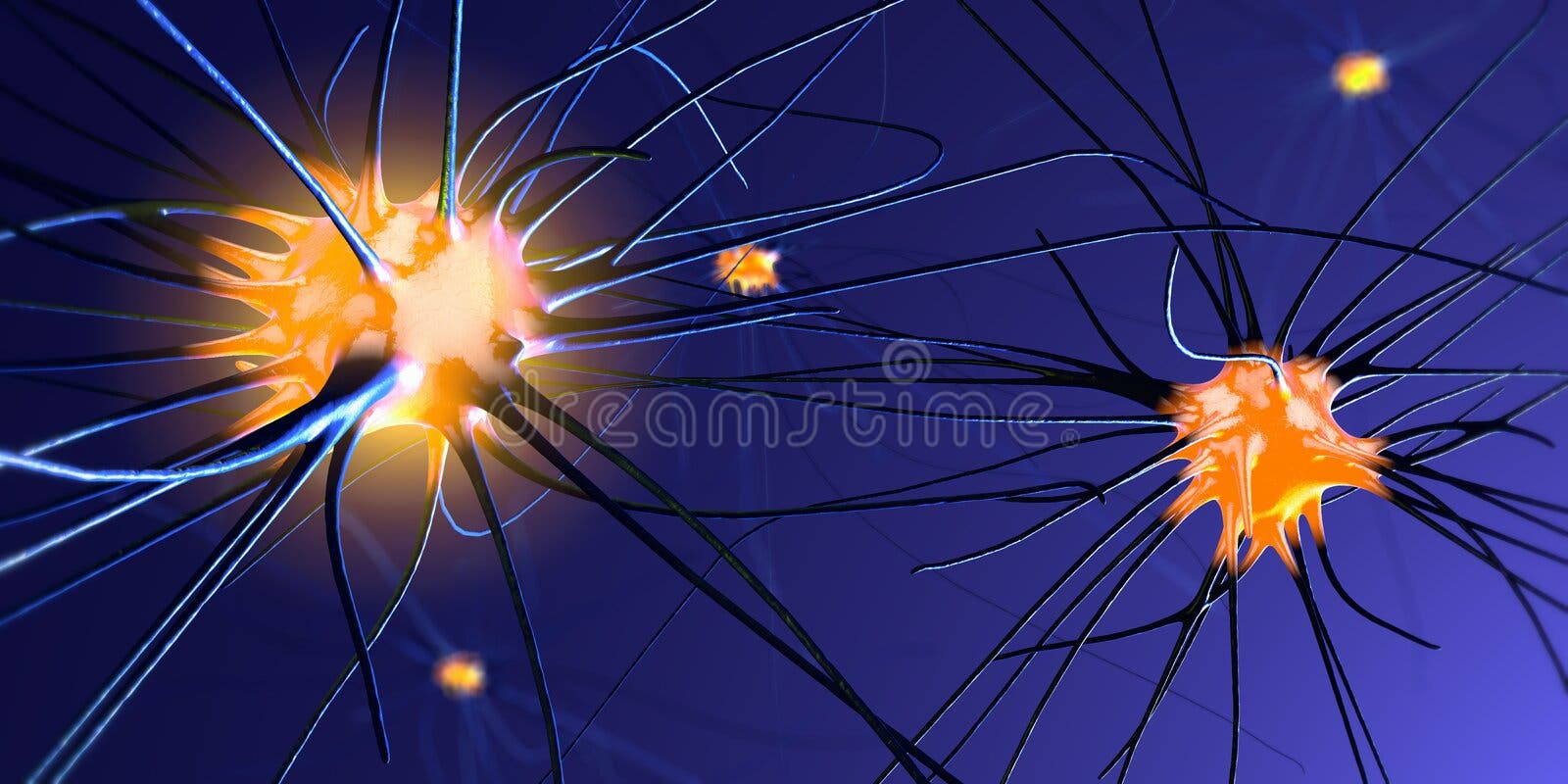 Transmitting Synapse,neuron or Nerve Cell Stock Illustration ...