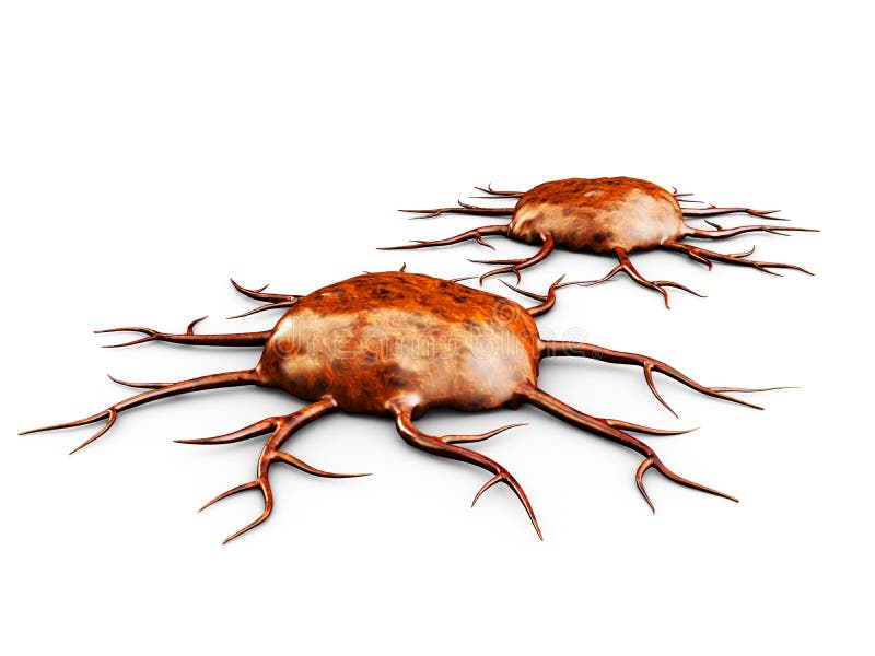 3d Illustration of Two Cancer Cells, Isolated on White Background ...
