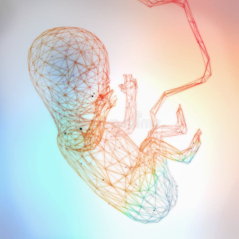 Embryo in Low Polygon Style Consisting of Lines and Strokes on Colored ...