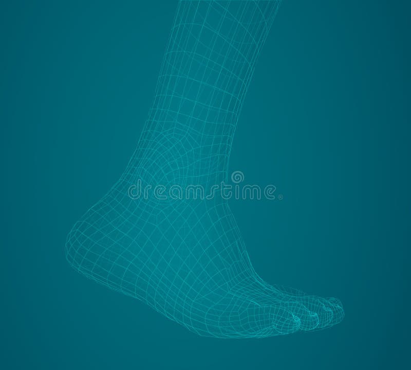 3d Illustration of a Vector of Human Feet Walking Along Stock ...