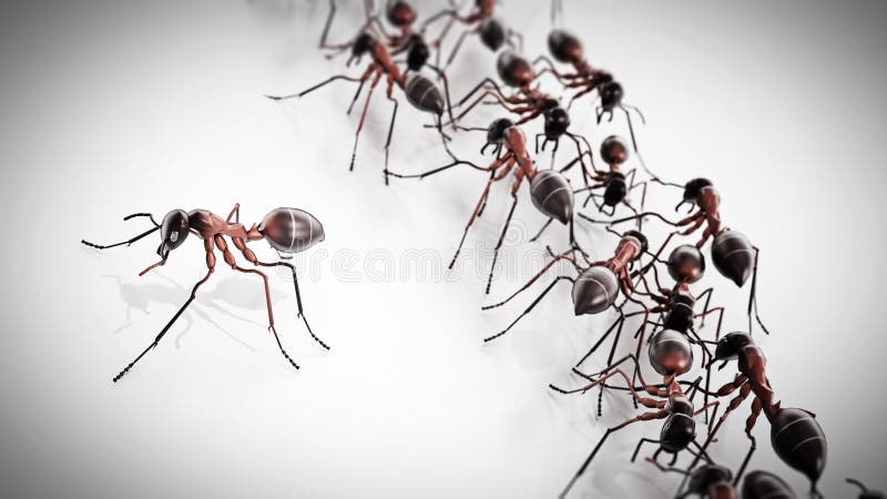 3D Illustration of Walking Ants. Top View Stock Illustration ...