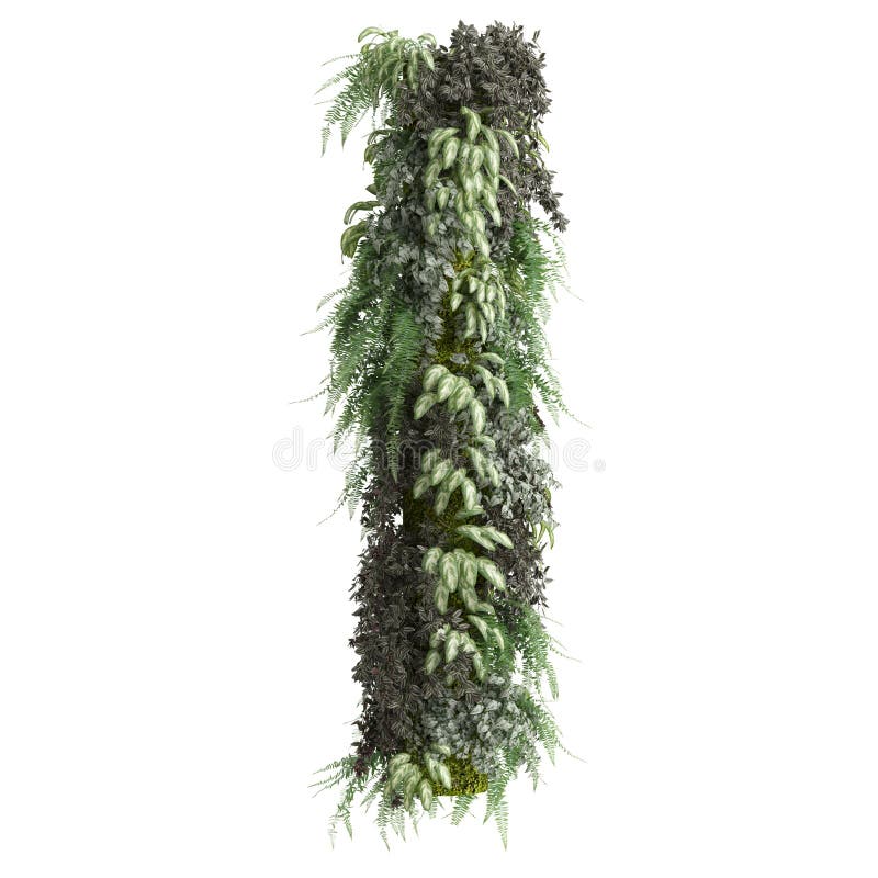 3d Illustration of Wall Tree Isolated on White Background Stock ...