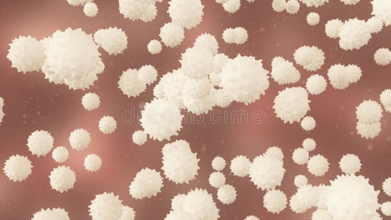 3D Illustration of White Blood Cell Stock Illustration - Illustration ...