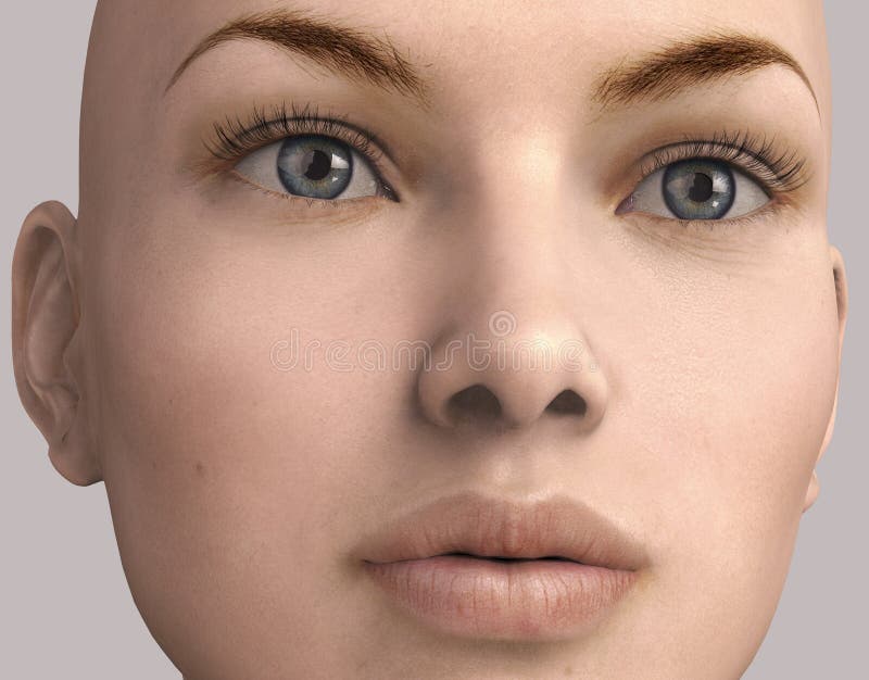 3D Illustration of a Womans Face Isolated Stock Illustration ...