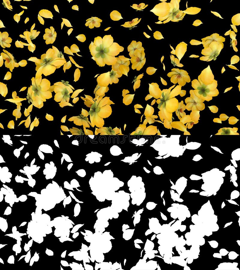 3D Illustration of a Yellow Flower Petals Flow with Alpha Layer Stock ...