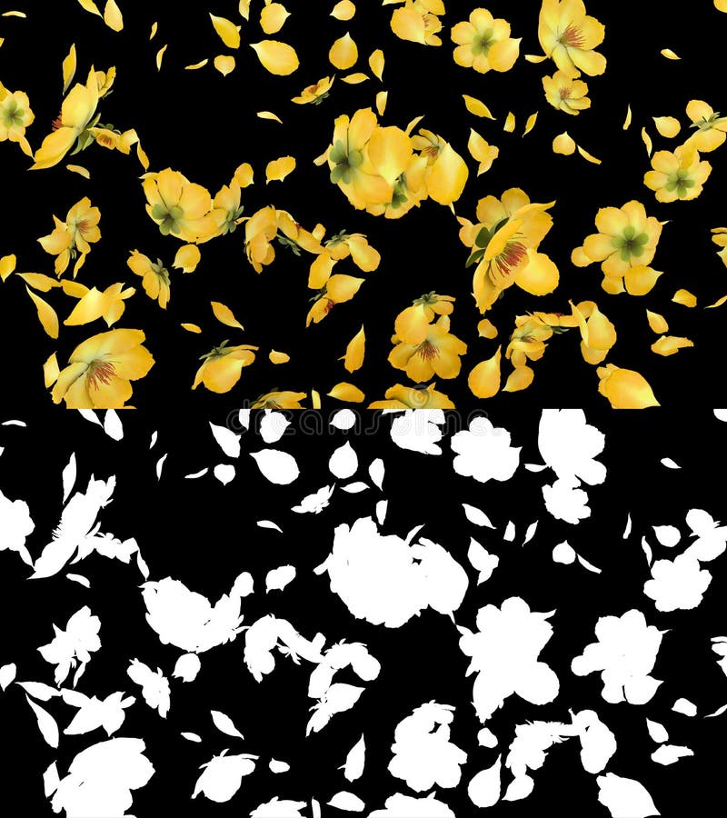 3D Illustration of a Yellow Flower Petals Flow with Alpha Layer Stock ...
