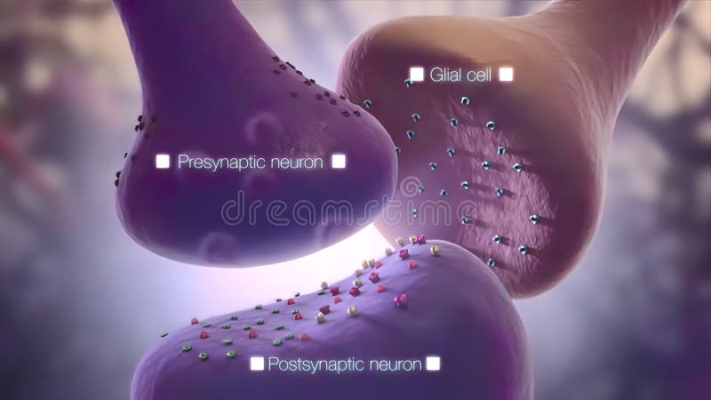 3D Illustrationof Neuron Structure and Function. Signal in Neurons ... 3D Illustrationof Neuron Structure and Function. Signal in Neurons ...
