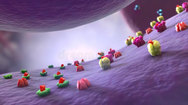 3D Illustrationof Neuron Structure and Function. Signal in Neurons ... 3D Illustrationof Neuron Structure and Function. Signal in Neurons ...
