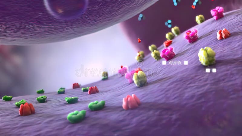 3D Illustrationof Neuron Structure and Function. Signal in Neurons ...