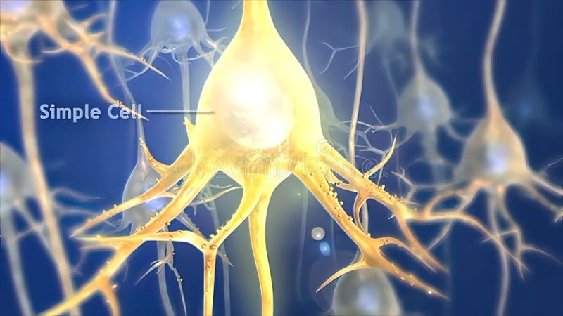 Single Axon Stock Illustrations – 85 Single Axon Stock Illustrations ...