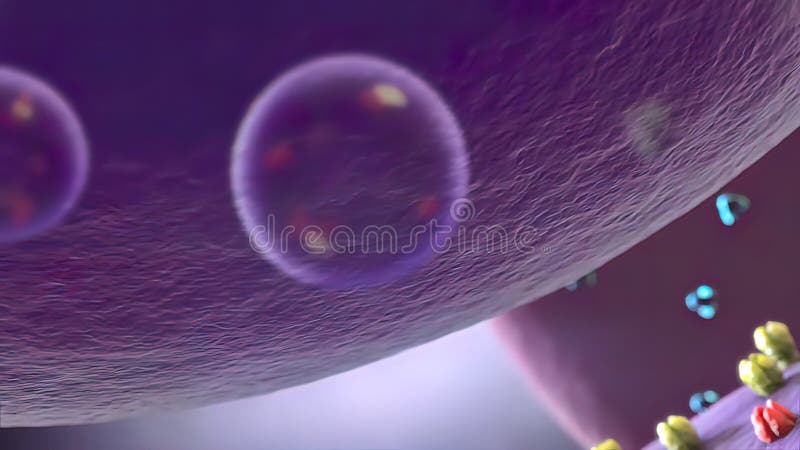 3D Illustrationof Neuron Structure and Function. Signal in Neurons ... 3D Illustrationof Neuron Structure and Function. Signal in Neurons ...
