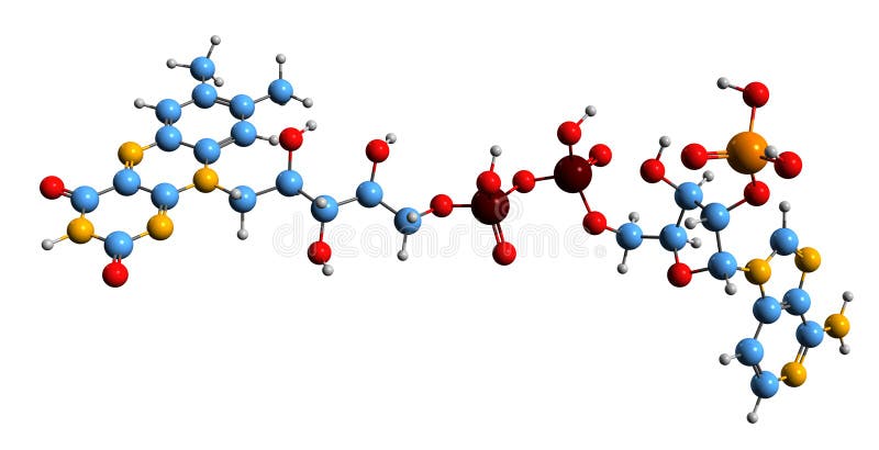 3D Image of Adenosine Monophosphate Skeletal Formula Stock Illustration ...