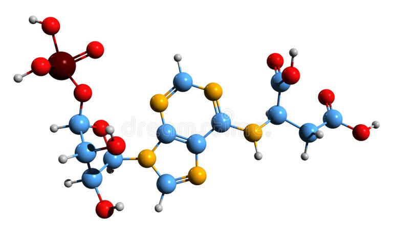 3D Image of Adenylosuccinate Skeletal Formula Stock Illustration ...