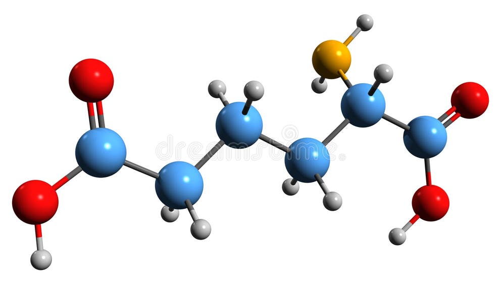 Aminoadipic Acid Stock Illustrations – 1 Aminoadipic Acid Stock ...
