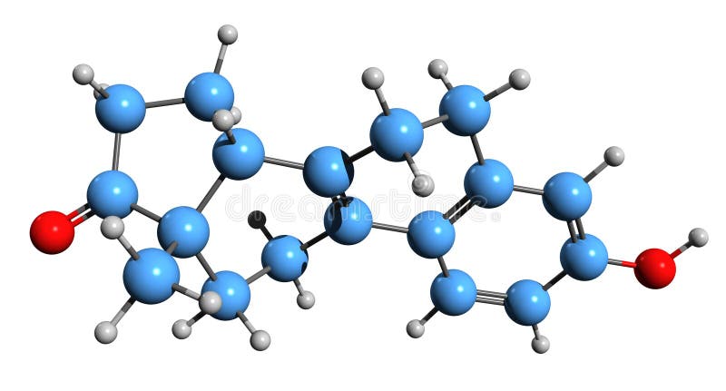 Equilin Stock Illustrations – 6 Equilin Stock Illustrations, Vectors ...