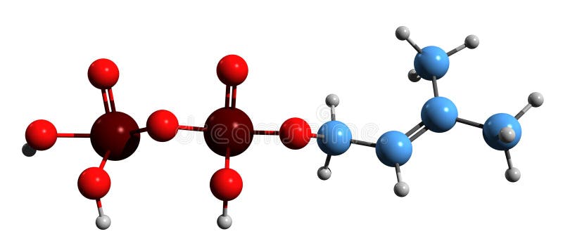 3D Image of Dimethylallyl Pyrophosphate Skeletal Formula Stock ...