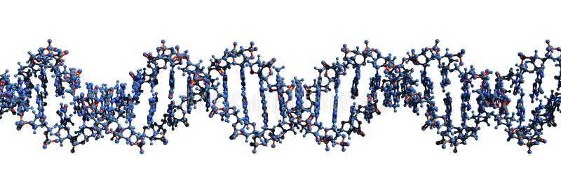 3D Image of DNA Macromolecule Skeletal Formula Stock Illustration ...