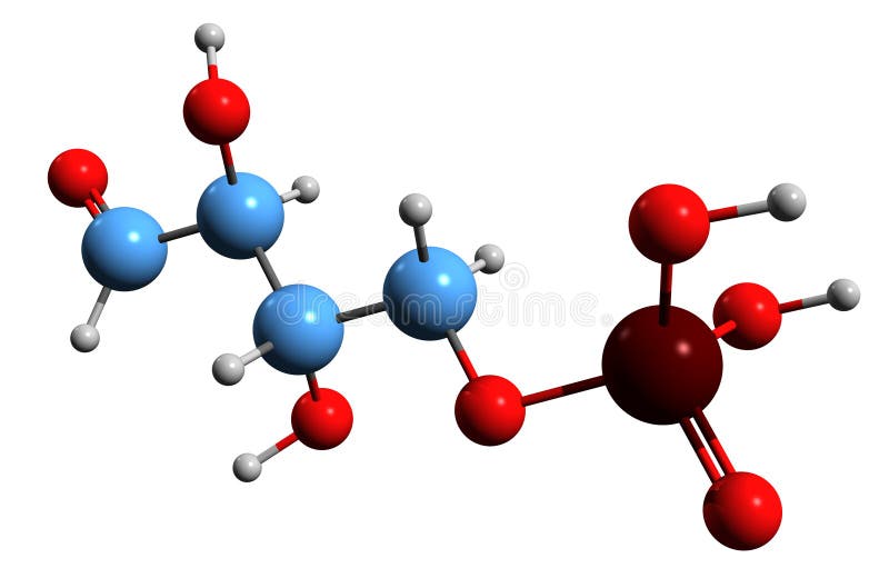 3D Image of Erythrose 4-phosphate Skeletal Formula Stock Illustration ...