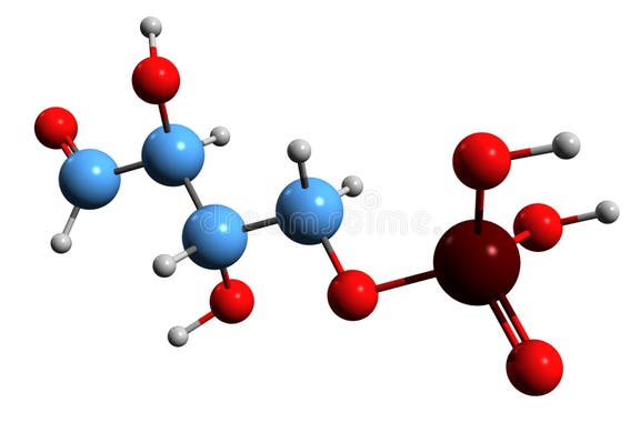 3D Image of Erythrose 4-phosphate Skeletal Formula Stock Illustration ...