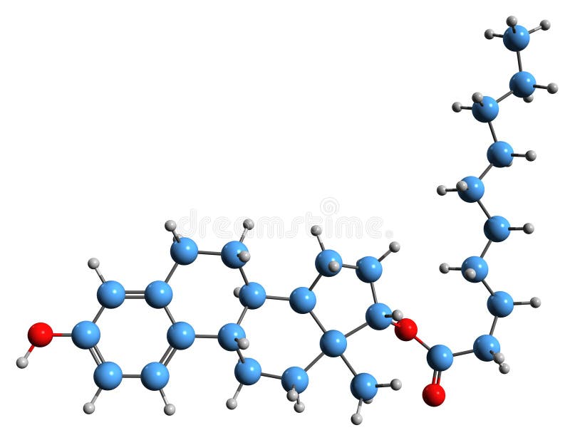 Estradiol Decylate Stock Illustrations – 1 Estradiol Decylate Stock ...