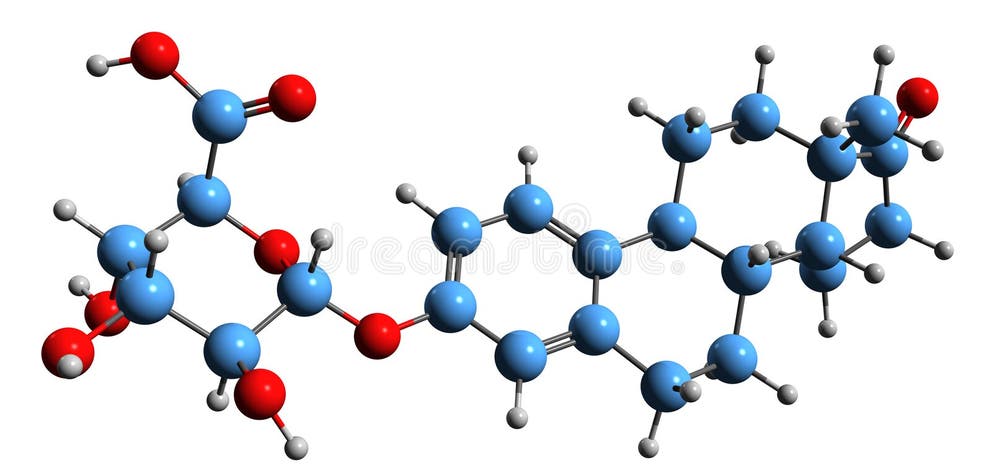 3D Image of Estrone Glucuronide Skeletal Formula Stock Illustration ...