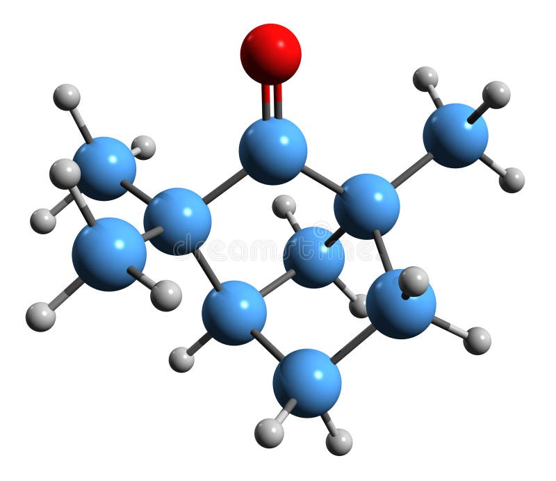 3D Image of Fenchone Skeletal Formula Stock Illustration - Illustration ...