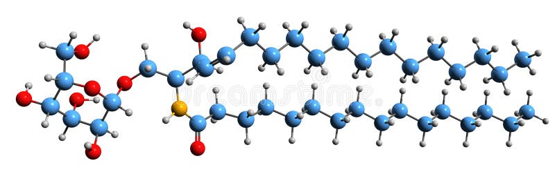 Cerebroside Stock Illustrations – 17 Cerebroside Stock Illustrations ...