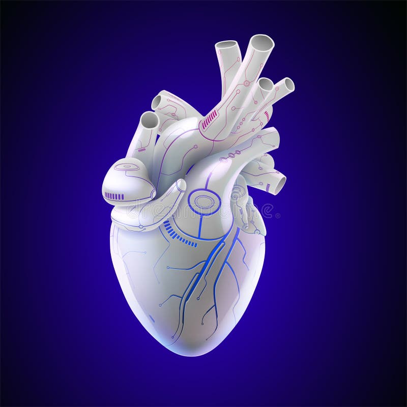 3D Image of Human Heart, a Future Machine that Can Replace Human Heart ...