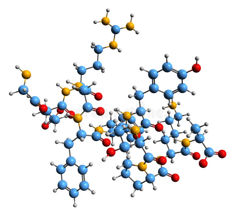 3D Image of Insulin B Skeletal Formula Stock Illustration ...