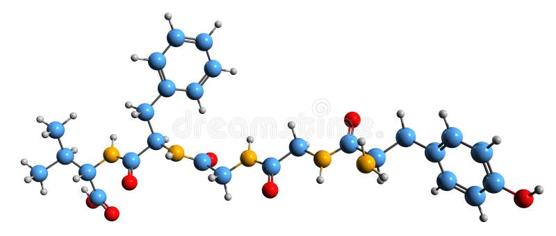3D Image of Leu-enkephalin Skeletal Formula Stock Illustration ...