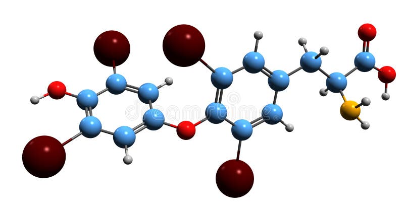 3D Image of Levothyroxine Skeletal Formula Stock Illustration ...