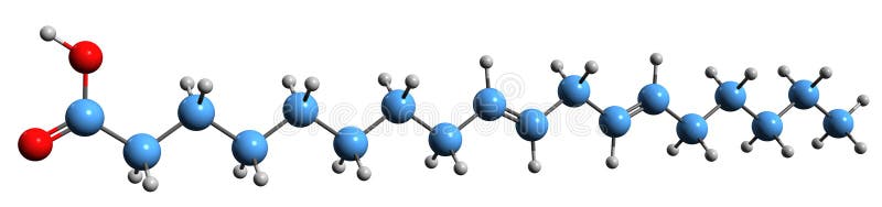 Linoleic Acid, LA Molecule. Omega-6, Polyunsaturated Fatty Acid ...