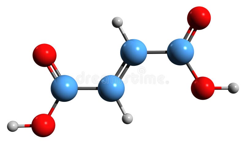 Maleic Acid Structure