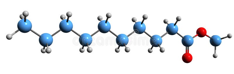 3D Image of Methyl Decanoate Skeletal Formula Stock Illustration ...